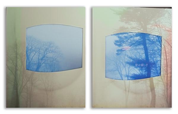 Kate Oh Gallery Presents Nevil Dwek Solo Exhibition: Selective Memory ...