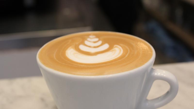 Taste the Best Cappuccino in NYC at Zibetto Espresso Bar